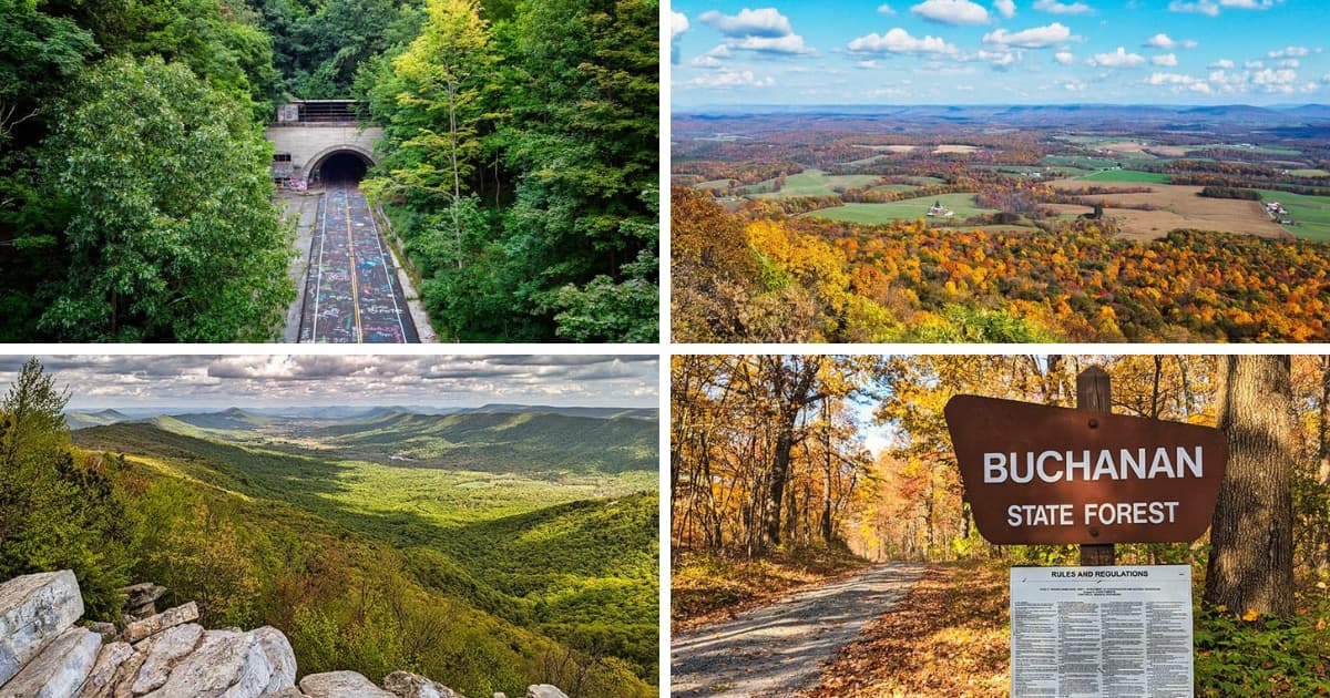 9 Must-See Attractions in the Buchanan State Forest - PA Bucket List
