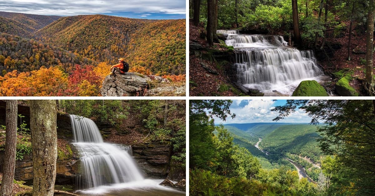 16 Must-See Attractions in the Sproul State Forest - PA Bucket List